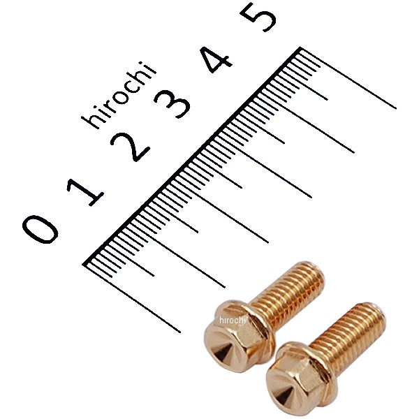 ポッシュ POSH スモールフランジ六角ボルト24Kメッキ 2個/1パック材質:SUS304強度区分:A2-70ネジサイズ:M6x15 P1.0φD:10.5mmk:6mmS:8mm24Kメッキ 処理をした対辺8ミリメートルのスモールフラン...