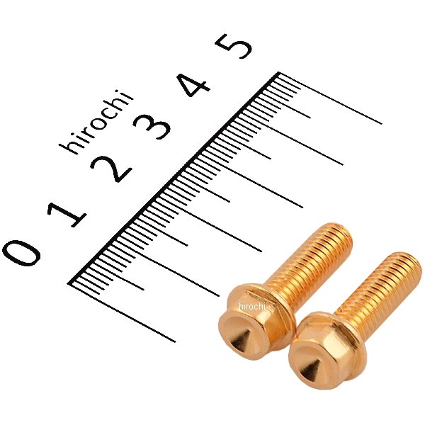 ポッシュ POSH スモールフランジ六角ボルト24Kメッキ 2個/1パック材質:SUS304強度区分:A2-70ネジサイズ:M6x20 P1.0φD:10.5mmk:6mmS:8mm24Kメッキ 処理をした対辺8ミリメートルのスモールフラン...