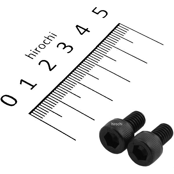 ポッシュ POSH キャップボルトセット汎用サイズ:M6x10mmカラー:ブラック素材:ステンレス入数:2本入最大径 (ヘッド):約9.9mm900610-K2楽天 JP店　
