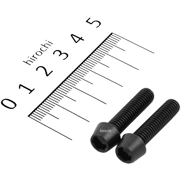 ポッシュ POSH テーパーキャップボルトセット汎用サイズ:M6x25mm P-1.0カラー:ブラック素材:ステンレス2本入最大径:約9.5mm900625-T9楽天 JP店　
