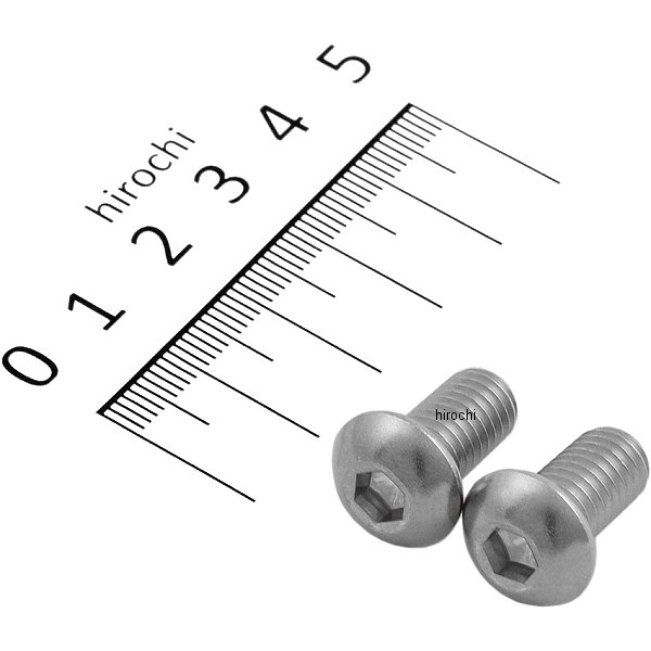 ポッシュ POSH ボタンキャップボルトセット汎用サイズ:M8x15mm素材:ステンレス2本入最大径 (ヘッド):約13.6mm900815-B2楽天 JP店　