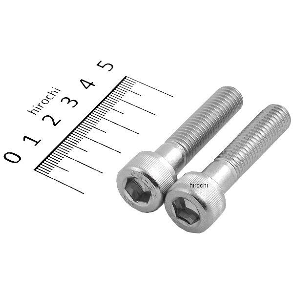 ポッシュ POSH キャップボルトセット汎用サイズ:M10x45mm P-1.5素材:ステンレス2本入最大径:約16mm901045-S2楽天 JP店　