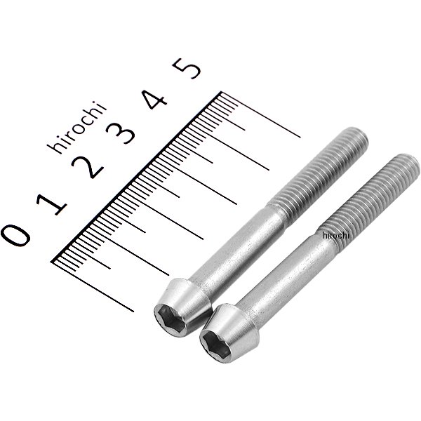 ポッシュ POSH テーパーキャップボルトセット汎用サイズ:M6x50mm素材:ステンレス2本入最大径 (ヘッド):約9.5mm900650-2T楽天 JP店　