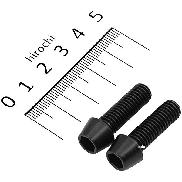 ポッシュ POSH テーパーキャップボルトセット汎用サイズ:M8x25mm P-1.25カラー:ブラック素材:ステンレス2本入最大径:約12.3mm900825-T9楽天 JP店　