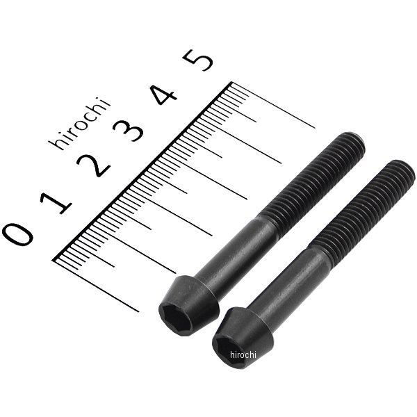 ポッシュ POSH テーパーキャップボルトセット汎用サイズ:M6x45mm P-1.0カラー:ブラック素材:ステンレス2本入最大径:約9.5mm900645-T9楽天 JP店　