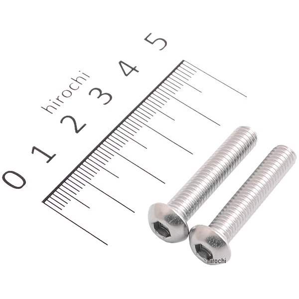 キタコ ボタンキャップボルト 6X30汎用M6×P1.0数量:2材質:ステンレス0900-060-20006楽天 JP店　