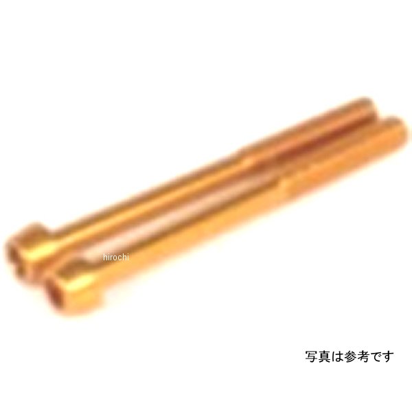 00-06-1004 SP武川 アルミ ボルト テーパー 6X20/ゴールド/2本アルミテーパーキャップ M6X20ネジ長 19mm2個入ゴールドアルテックボルト（A7050-T6）00-06-1004楽天 JP店