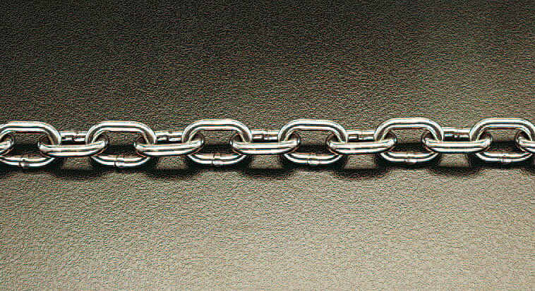 ●材質:ステンレス(SUS316)●全長:3m●線径:4.8mm●荷重:418kg000012009945楽天 JP店　