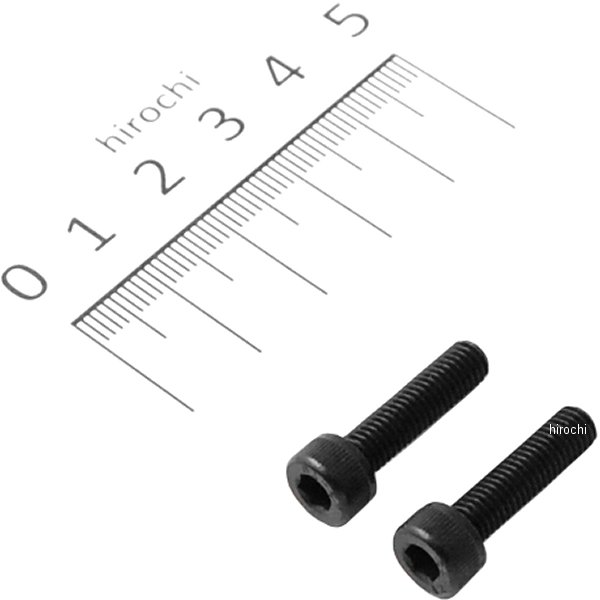 ポッシュ POSH ステンレスブラックボタンキャップボルトサイズ:M5X20長さ:20mmカラー:黒2個入り920520-K2楽天 JP店　