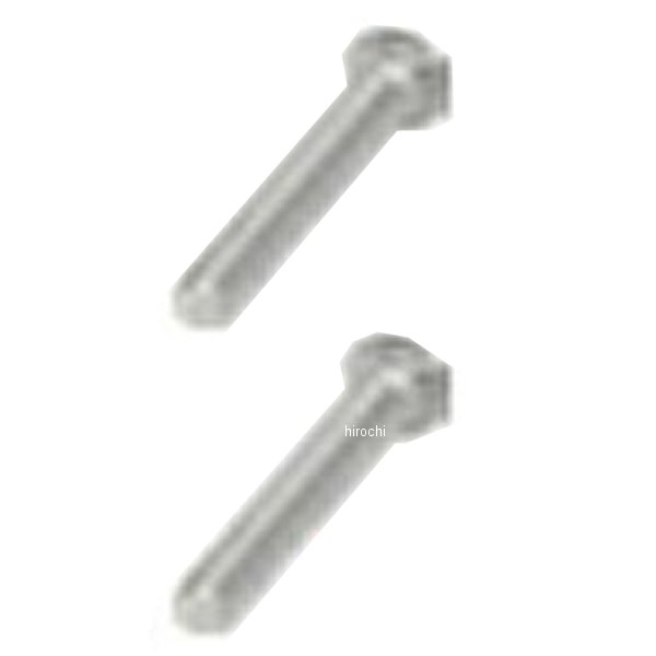 SP武川 ボタンヘッドソケットスクリューサイズ:6×402個入り00-00-0745楽天 JP店　