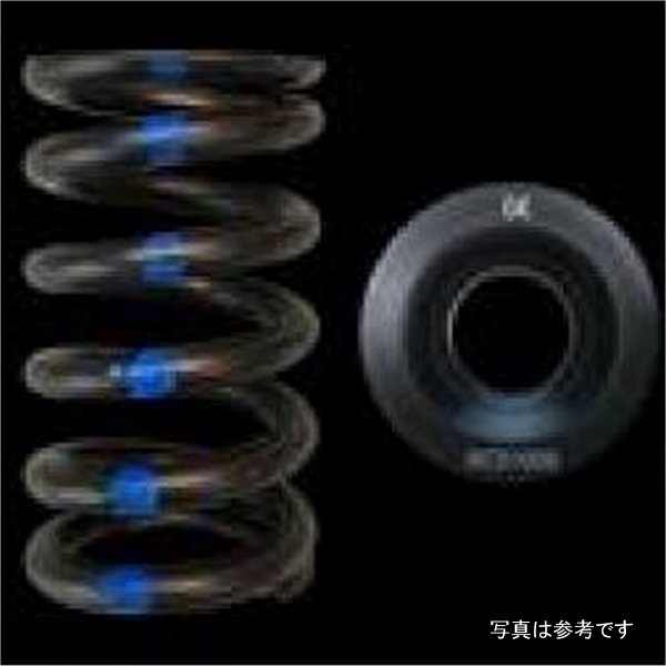 Brian Crower Mitsubishi 4G63/EVO 8/9 Single Spring & Steel Retainer Kitメーカー：Brian Crowerメーカー品番：BC0100S・掲載画像は、カタログより抜粋した参...