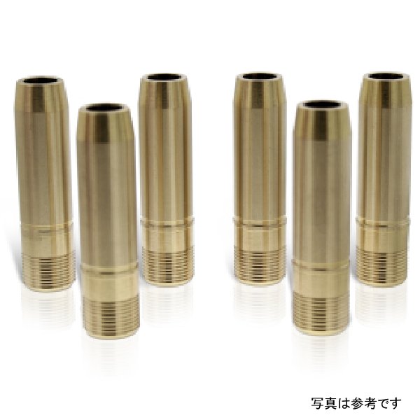 Ferrea 標準エキゾーストバルブガイド 12個セット VS1008 と併用 トヨタ 2JZGE/2JZGTEメーカー：Ferreaメーカー品番：VG1034・掲載画像は、カタログより抜粋した参考画像となっております。ご不安な場合は、メー...