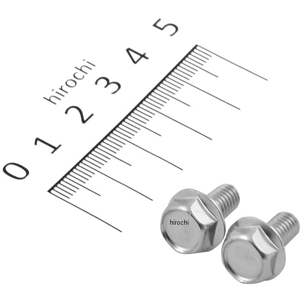 フランジ付き六角ボルトです。材質:ステンレス製ネジタイプ:M6/P1.0サイズ A:12mm入数:2個入り0900-062-03001楽天 JP店　