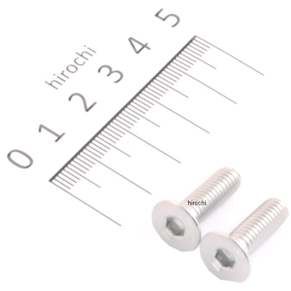 0900-060-30002 サラCAPボルトサイズ:M6×20×P1.0(M6:4mm)材質:ステンレス入数:2個入り0900-060-30002楽天 JP店　