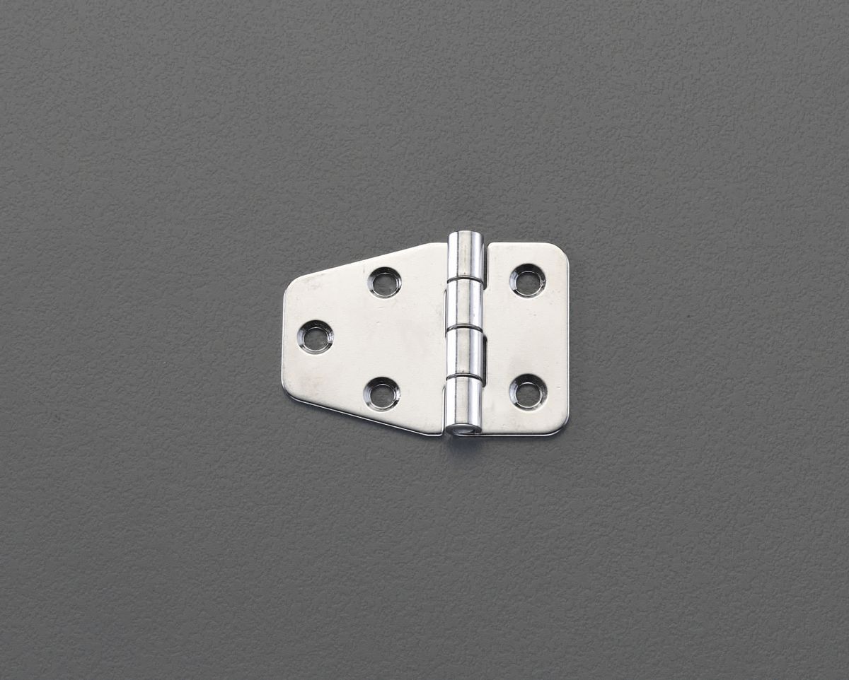 材質：ステンレス(SUS304)サイズ：55X40mm厚み：1.5mm穴径：4.5mm入数：2個000012217891　