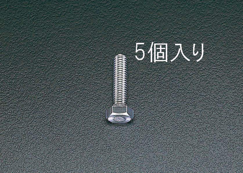 ●材質:ステンレス（SUS304）●サイズ:M10×100●入数:5個並目ねじ000012055324　