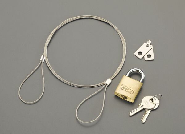 〈セット内容〉：マイクロロック、ワイヤー、南京錠、鍵×2個ワイヤー直径：1.0mmワイヤー長：1.5mパソコンのセキュリティスロットに、着脱可能な「マイクロロック」を使用してワイヤーを設置します。EA983TS-21楽天 JP店　
