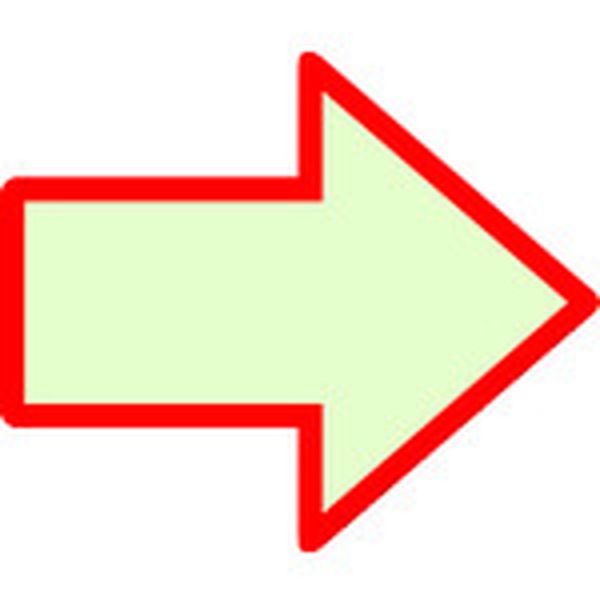 ・災害時の停電などで暗闇の際に自発光します。・階段の昇り下り表示に最適です。・表示内容：赤枠・矢印・取付仕様：ステッカー・縦(mm)：100・横(mm)：120・取付方法：貼付タイプ・蓄光ステッカー(中輝度)・蓄光ステッカー・室内でお使いく...