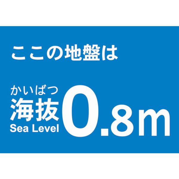 ・屋内外使用可能です。・表示内容:ここの地盤は海抜0.8m・取付仕様:粘着シール・取付方法：貼付タイプ・縦×横:120×170mm・塩化ビニール(PVC)・貼り付ける面のゴミ・油等を拭きとってください。・生産国 日本・JANコード 4989...