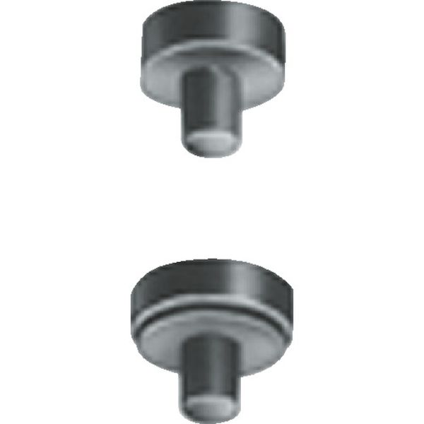 ・刻印可能の交換用スタンプです。・ご使用のスタンプが摩耗した際に交換できます。・ガス、水道、電気メーター、工場設備などの管理に。・色：黒・外径(mm)：10・適合本体：9062000・スチール・スタンプへの刻印はお客様にて行って下さい。・ス...