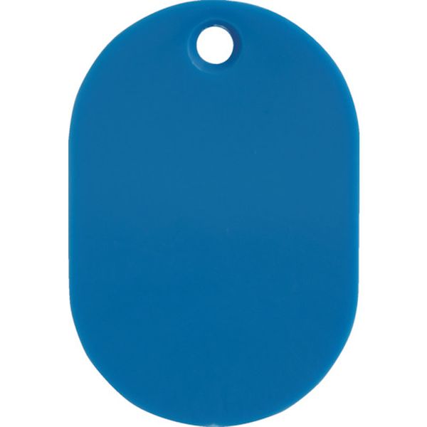 ・カラーが豊富で管理などに便利です。・ラベルを貼って使用したり、マーカー等での記入も可能です。・色：ブルー・縦(mm)：60・横(mm)：40・厚さ(mm)：2.5・穴径(mm)：4・キーホルダーや二重リングを取り付ける針穴付き。・見やすい...