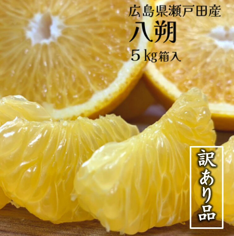 【広島県瀬戸田産　白八朔5kg 訳あり L〜3Lサイズ混載 ノーワックス 】箱入り 訳あり 瀬戸田はっさく 白はっさく 果物 柑橘フルーツ ビタミンC 人気 橘皮 酸味 送料無料 スムージー 大福 セトダ Hirocco hirocco ひ...