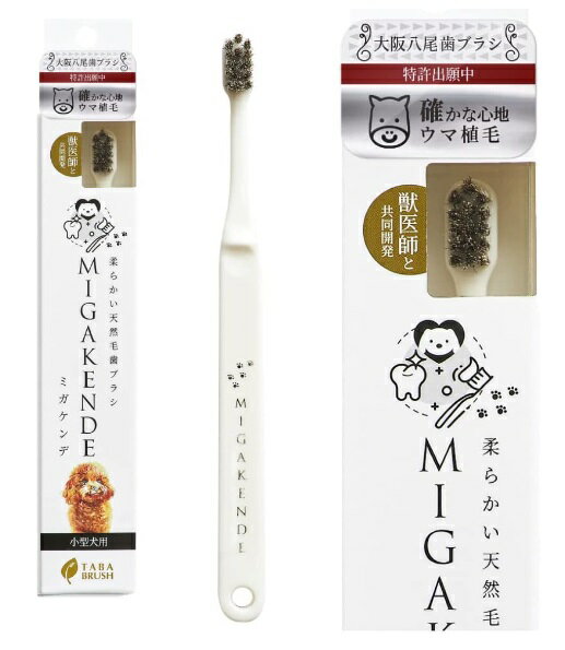 ミガケンデ 小型犬用 歯ブラシ（ウマ植毛：しっかり） 商　品　説　明 【獣医師と共同開発】 ミガケンデは、歯ブラシメーカーの社長自身が愛犬の全身麻酔での抜歯を目の当たりにしたことがきっかけで開発されました。長年の製造ノウハウと獣医師のアドバ...