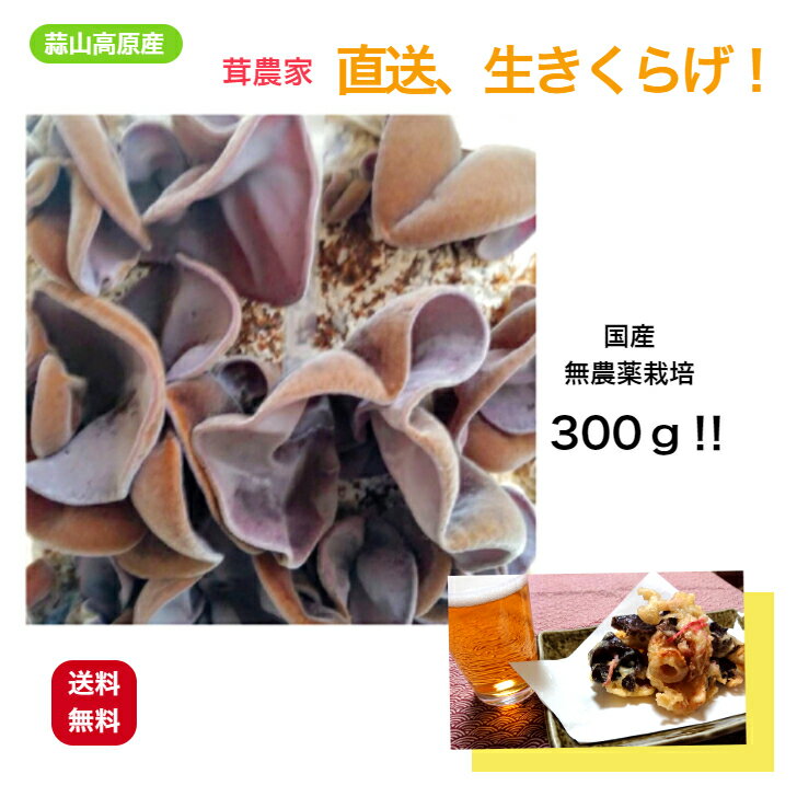 商品情報名称国産生きくらげ産地名国内産(岡山県蒜山産)内容量300g以上（100g×3袋）保存方法冷蔵庫で保存（約10日間）冷凍保存（約1か月間）備考★収穫後、受付順に発送となります。★天候や生育状況によって、出荷が遅れることもあります。★...