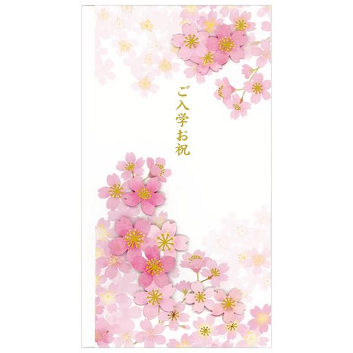 キモチを込めて...入学祝いにオススメなお祝い袋 祝儀袋/お祝い/祝い/水引/お年玉 ポチ袋 正月 お祝い お年玉 デザイン 雑貨