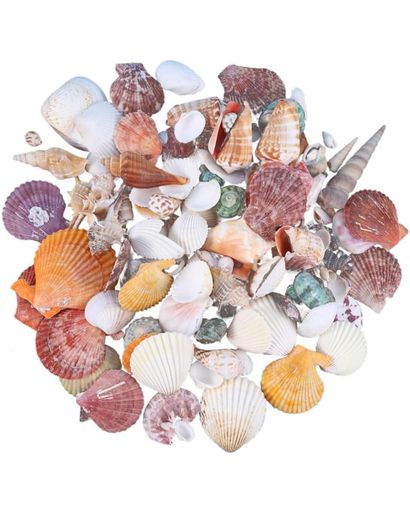 【水槽の飾りとして最適】貝殻水槽デコレーションやミニチュアガーデンビーチシーンのデザインが必要な場合は、これらの貝殻で自由に合わせることができます。きれいで個性のある水槽を作ることができます。 【多用途】ヤドカリ貝殻水槽の装飾品としておすす...