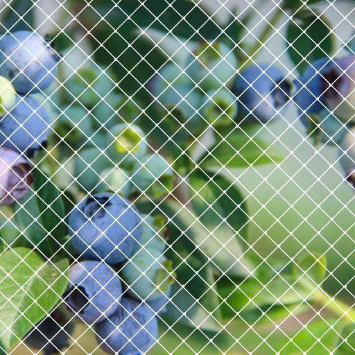 防鳥ネットは鳩、カラス、ツバメ、雀のような小さい鳥類の侵入を防止でき、静かな家事生活を守れます。愛猫は家から脱走することも防止できます。 透明色で目立たなくて建物自身の色味に合わせて、外側の景観も損ないません。圧迫感が少ない、クリアーな色な...