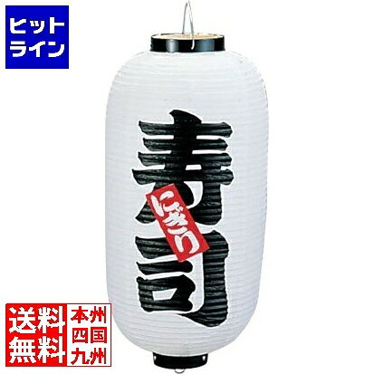 送料無料キャンペーンコード：【smtb-TK】ご注文後は、【発送のご案内】→【送り状番号のご連絡】の各メールをお送りします。【kk9n0d18p】 【商品の説明】212 提灯 9号長外寸(mm) 直径：240×600(つるの先からリングまで...