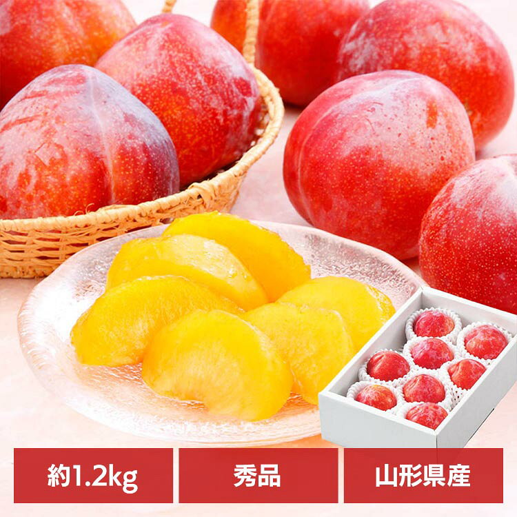 山形県で育てられた人気のプラム品種「秋姫」です。大玉で食べ応えがあり、果汁をたっぷり含んだ果肉は濃厚な甘みと爽やかな酸味が特長。熟すにつれて甘みが増し、まろやかな味わいへと変化します。ひと口頬張れば、ジューシーな果汁と豊かな風味が口いっぱい...