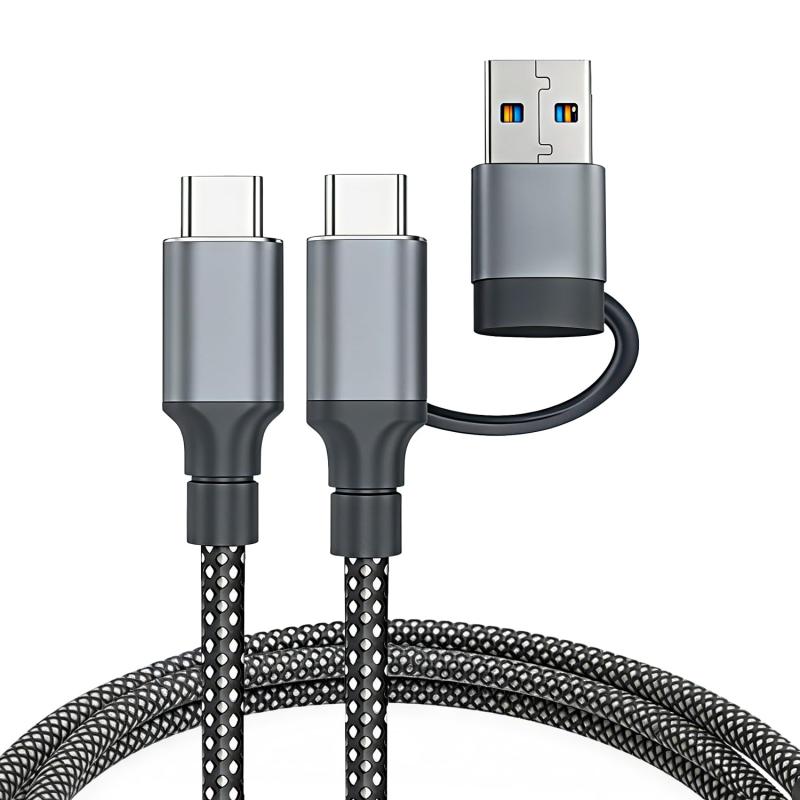 ライズジャパン 両端Type-C 充電ケーブル 長さ1m スマホ 急速充電 240W 高出力 4K 高速データ転送 20Gbps PD 充電コード USB変換アダプタ 240Wケーブル240W＋20Gbps対応ハイスペックPDケーブル 1m...