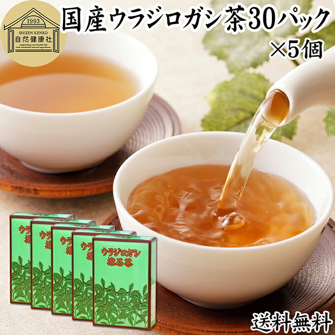 裏白樫茶（うらじろがし茶）について ウラジロガシはブナ科の高木で葉の裏がやや白いので裏白樫と呼ばれます。 健康茶、ダイエット茶として人気があります。 多くの野草関連書籍にウラジロガシについての記述がありノンカフェインのお茶、健康飲料、健康食...