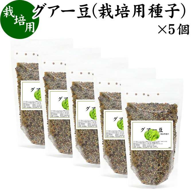 広告文責 健康生活研究所 0742-24-8380 メーカー 株式会社自然健康社 名称 グアー豆種子 区分 栽培用種子 内容量 400g&times;5個 原材料 グアー豆（栽培用種子） 商品説明 本品はグアー豆の栽培用種子です。グアー豆は...