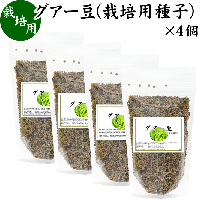 広告文責 健康生活研究所 0742-24-8380 メーカー 株式会社自然健康社 名称 グアー豆種子 区分 栽培用種子 内容量 400g&times;4個 原材料 グアー豆（栽培用種子） 商品説明 本品はグアー豆の栽培用種子です。グアー豆は...