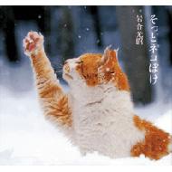 出荷目安の詳細はこちら内容詳細動物写真家として世界各地を訪れ、独自の視点で撮影することで有名な岩合光昭氏。その岩合氏がライフワークとして、30年以上かけて撮り続けてきたのがネコの写真。2005年4月に発売された『ちょっとネコぼけ』は、写真集...
