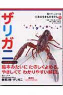 出荷目安の詳細はこちら商品説明アメリカザリガニを中心に、鮮やかな赤みの体色に育てるザリガニのエサの秘密などに触れ、生き物とエサや環境との関係を学習します。外国の青いザリガニなども紹介します。