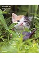 出荷目安の詳細はこちら