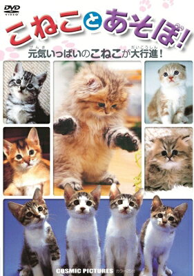 出荷目安の詳細はこちら