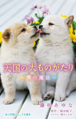 出荷目安の詳細はこちら内容詳細犬と人間との絆のおはなし。本作では五話をお届け。『僕の魔法』—亡くなったおじいちゃんの愛犬リキを引き取った光。光はリキのことが苦手だったけれど…。『そらのいろ』—仲良く暮らしていた圭介くんとチビ。最近圭介くんは...