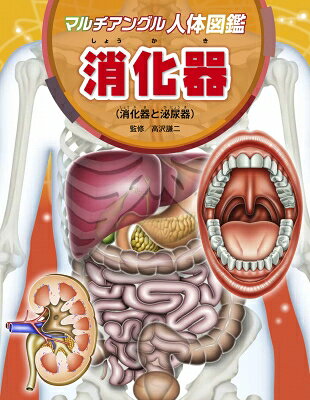 出荷目安の詳細はこちら内容詳細食べ物が、わたしたちのからだの「材料」や「エネルギー」になるために、からだの中の長い旅。この長い旅にかかわる、胃や小腸、大腸などの器官「消化器」と、血液と尿にかかわる腎臓、膀胱などの器官「泌尿器」。それぞれの器...