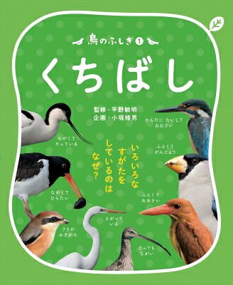 出荷目安の詳細はこちら内容詳細おおきなくちばし、ながいくちばし、ふといくちばし。どのとりもみんなちがったくちばしをもっています。くちばしをどんなふうにつかうのかな？どうしてそのかたちになったのかな？いろんなくちばしをみてみよう！目次&nbs...