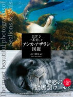 出荷目安の詳細はこちら内容詳細水族館ショーで人気のアシカや愛くるしい姿のアザラシ、海中を機敏に泳ぐオットセイや2トン近くの巨体を横たえるセイウチなど四肢がヒレ状になった鰭脚類と呼ばれる仲間を紹介するビジュアル図鑑。世界中の海で撮影されたダイ...