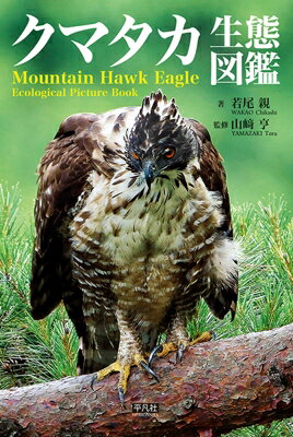 出荷目安の詳細はこちら内容詳細森林の王クマタカのすべて。目次&nbsp;:&nbsp;各部位の名称/ 用語解説/ クマタカの概要/ 生態/ 生息環境と行動圏/ 容姿と年齢/ ハンティング/ 食性/ ディスプレイ飛翔/ 繁殖活動　求愛期から抱...