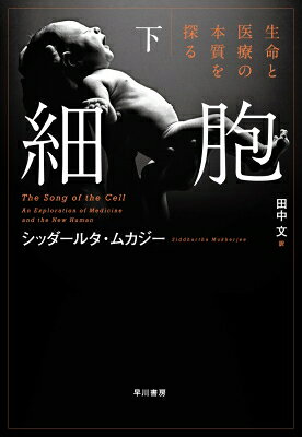 出荷目安の詳細はこちら