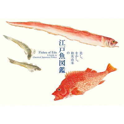 出荷目安の詳細はこちら内容詳細秀抜な江戸の写生図譜でみる日本人と魚の歴史江戸時代の代表的な博物画家といわれる毛利梅園。本書では毛利梅園が手がけた『梅園魚譜』と『梅園魚品図正』から厳選した94種の図譜とともに、和名の由来や分類、学名、さらにそ...