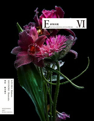 出荷目安の詳細はこちら内容詳細小さな種子でも、一粒、そしてまた一粒と根を張り、蒼々と茂っては草原となって、いずれは深々とした森となる。2012年刊行の植物図鑑I（第1巻）からライフワークとして続く土地も種類も異なる多様な花や植物をフラットに...