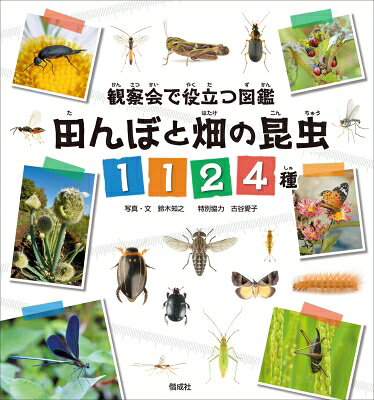 出荷目安の詳細はこちら内容詳細昆虫図鑑に掲載されている虫は、子ども向け、大人向けを問わず、大型でメジャーな昆虫ばかり。しかし、そのような虫はどこにでもいるわけではなく、身近にいるのはむしろ一般的な昆虫図鑑には名前の載っていないような小さな虫...